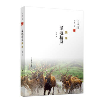 湿地精灵 麋鹿 盐城地标