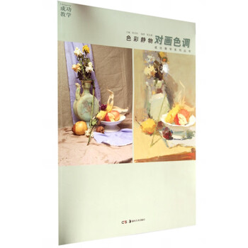 色彩静物(对画色调)/成功教学系列丛书