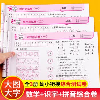 全三册 幼小衔接卷 数学拼音识字全套试卷一日一练教材练习题综合思维训练入学准备幼儿园大班升一年级
