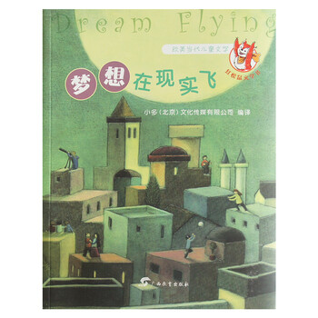 梦想在现实飞