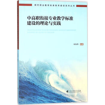 中高职衔接专业教学标准建设的理论与实践