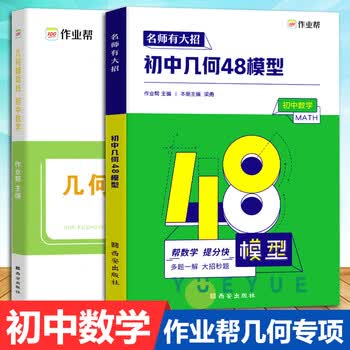进阶100初中几何48模型+几何辅助线初中数学专项训练刷题七八九年中考总复习辅导资料书初一初二初三