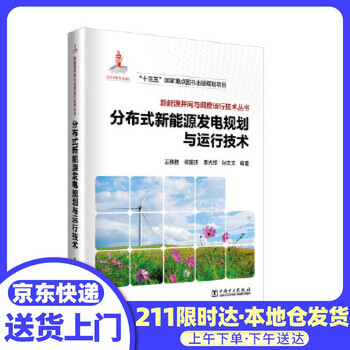 分布式新能源发电规划与运行技术 王伟胜,何国庆,李光辉,孙文文 中国电力出版社