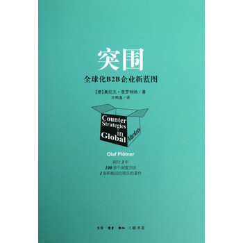 突围(全球化B2B企业新蓝图)