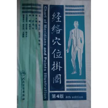 经络穴位挂图（第4版）