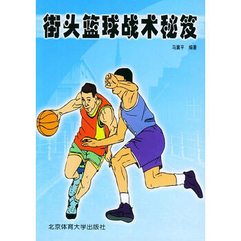 街头篮球战术秘笈