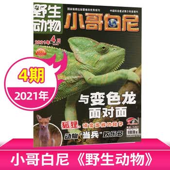 【包邮现货速发】小哥白尼杂志每月单期持续更新【军事科学】【野生动物】【神奇星球】【趣味科学】4刊可选 2021年4期野生动物