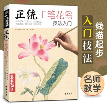 经典全集 正统工笔花鸟技法入门 零基础教程书籍中国工笔画白描勾线牡丹上色涂色宋画临摹