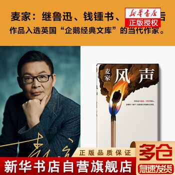 【正版预售】风声 上海文艺出版社 麦家 著