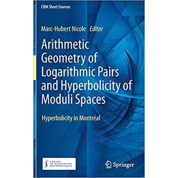 Arithmetic Geometry of Logarithmic Pairs and Hyp