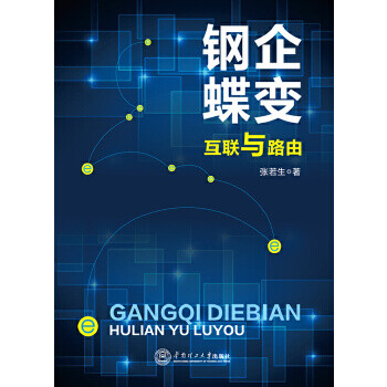 钢企蝶变:互联与路由