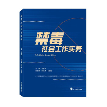 正版  禁毒社会工作实务  武汉大学出版社