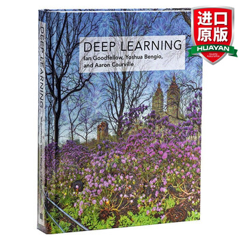 英文原版 深度学习 Deep Learning 计算机科学与人工智能