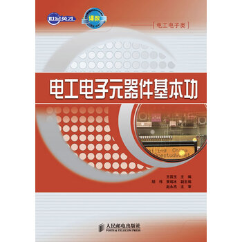 电工电子元器件基本功 王国玉 人民邮电出版社
