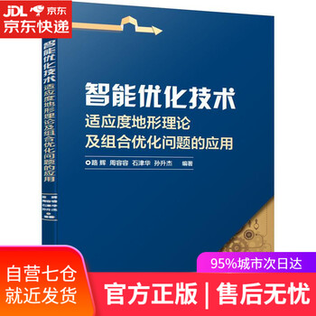 【正版图书】智能优化技术:适应度地形理论及组合优化问题的应用  机械工业出版社