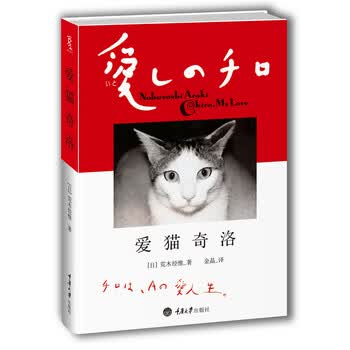 爱猫奇洛 [日]荒木经惟 著,金晶　译