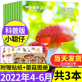 【新期3本】小聪仔科普版杂志2022年4/5/6月打包 2~8岁幼儿益智兴趣智力开发低年级儿童科普百科自然探索奥秘非2021过期刊 【共3本】2022年4/5/6月