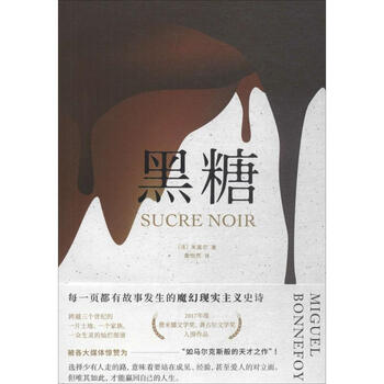 【 京送自营】黑糖 (法)米盖尔(Miguel Bonnefoy) 著;秦怡然 译 北京联合出版有限责任公司出版社