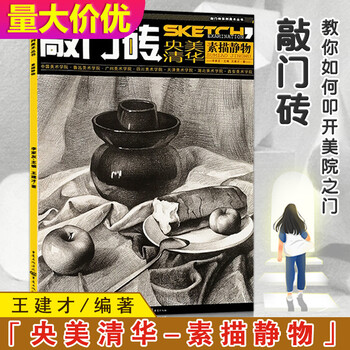 王建才素描书央美清华敲门砖素描静物组合经典自学入门到精通基础教程教材全素材结构临摹杨建