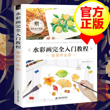 【官方正版】水彩画完全入门教程 看图学水彩 水彩教程书 零基础学画画 水彩入门