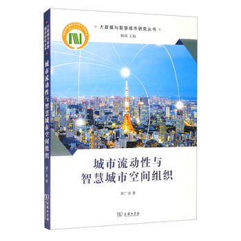 城市流动性与智慧城市空间组织/大数据与智慧城市研究丛书