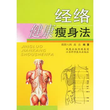 经络健康法【正版图书】