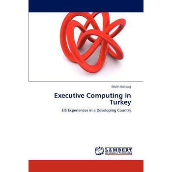 Executive Computing in Turkey