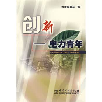 创新:电力青年