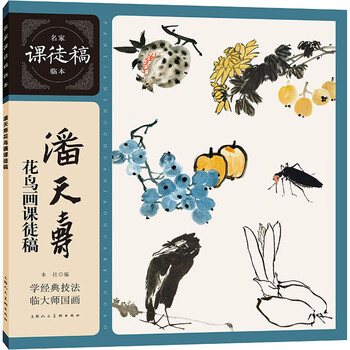 潘天寿花鸟画课徒稿 图书
