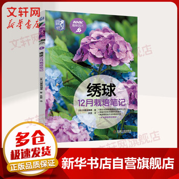 绣球12月栽培笔记