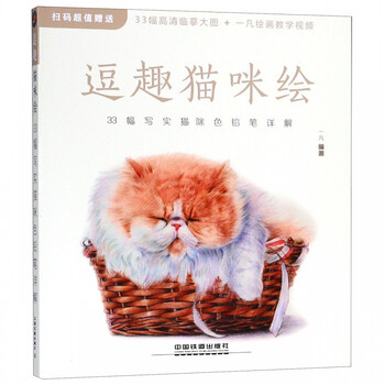 逗趣猫咪绘(33幅写实猫咪色铅笔详解)
