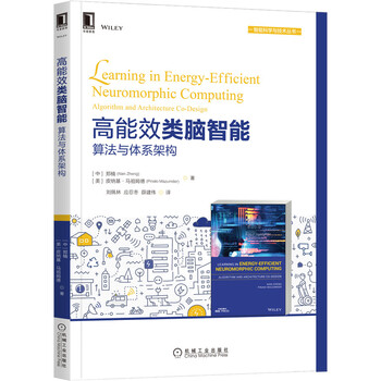 高能效类脑智能：算法与体系架构