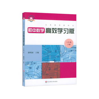 初中数学(8下高效学习版义教教科书)