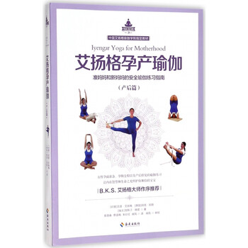 艾扬格孕产瑜伽(产后篇中国艾扬格瑜伽学院指定教材)