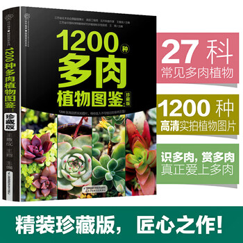 1200种多肉植物图鉴 珍藏版 花卉科普作家王意成 花园花艺盆栽养殖盆景 江苏凤凰科学技术出版社