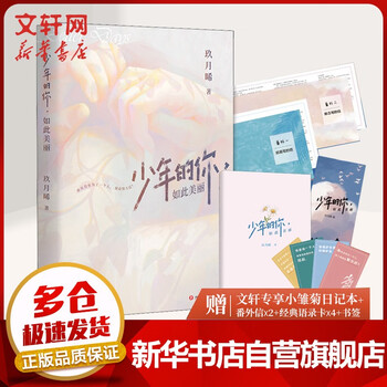 少年的你，如此美丽 玖月晞的书 易烊千玺、周冬雨主演电影原著小说