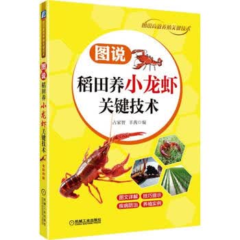 图说稻田养小龙虾关键技术