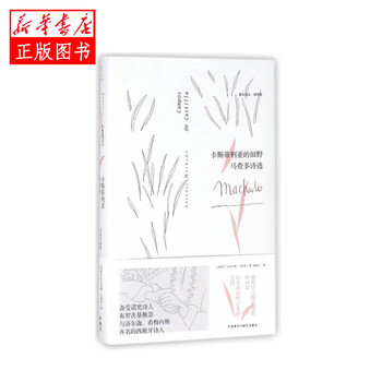 卡斯蒂利亚的田野:马查多诗选 外语教学与研究出版社 【西班牙】安东尼奥马查多,赵振江,新华书店正版图