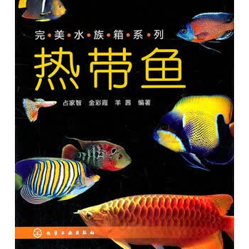 完美水族箱系列--热带鱼