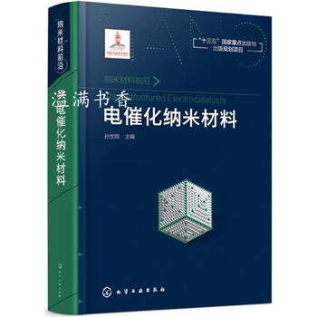 纳米材料前沿--电催化纳米材料 孙世刚编 化学工业出版社