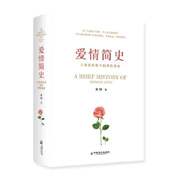 爱情简史