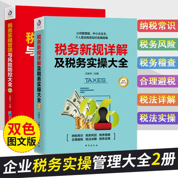 2册包邮 税务新规详解及税务实操大全+税务实操管理与风险防控大全 王桦宇 企业个人税务知识实操与风险