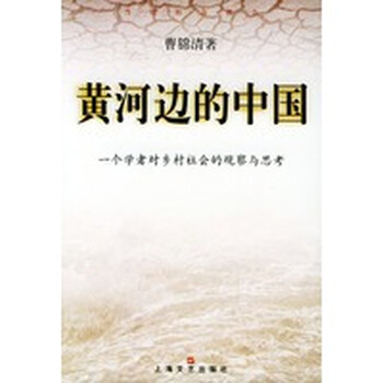 黄河边的中国(一个学者对乡村社会的观察与思考)