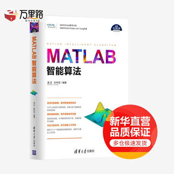 MATLAB智能算法