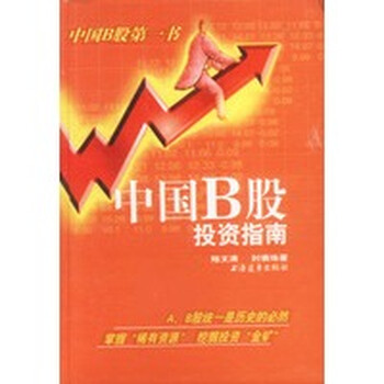 中国 B 股投资指南