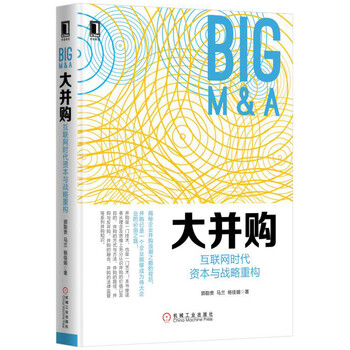 大并购:互联网时代资本与战略重构