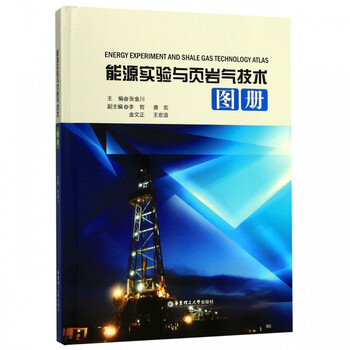 能源实验与页岩气技术图册(精)