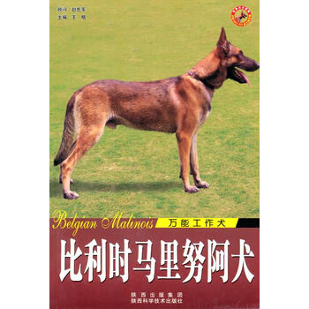世界名犬-比利时马里努阿犬