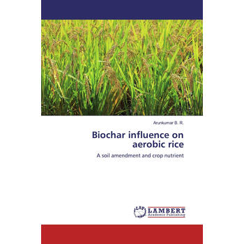 Biochar influence on aerobic rice