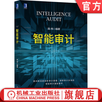 智能审计 陈伟  机械工业出版社官方正版